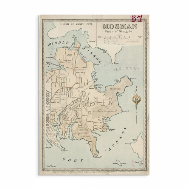 Vintage Map of Mosman, Sydney's North Shore | Curat'd Walls